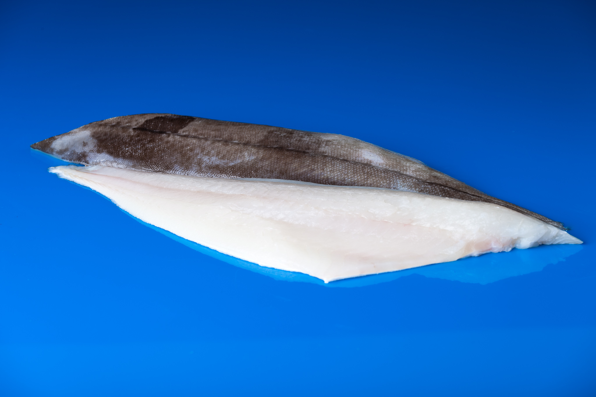 Ýsa – Fiskkaup – Íslenskur gæðafiskur