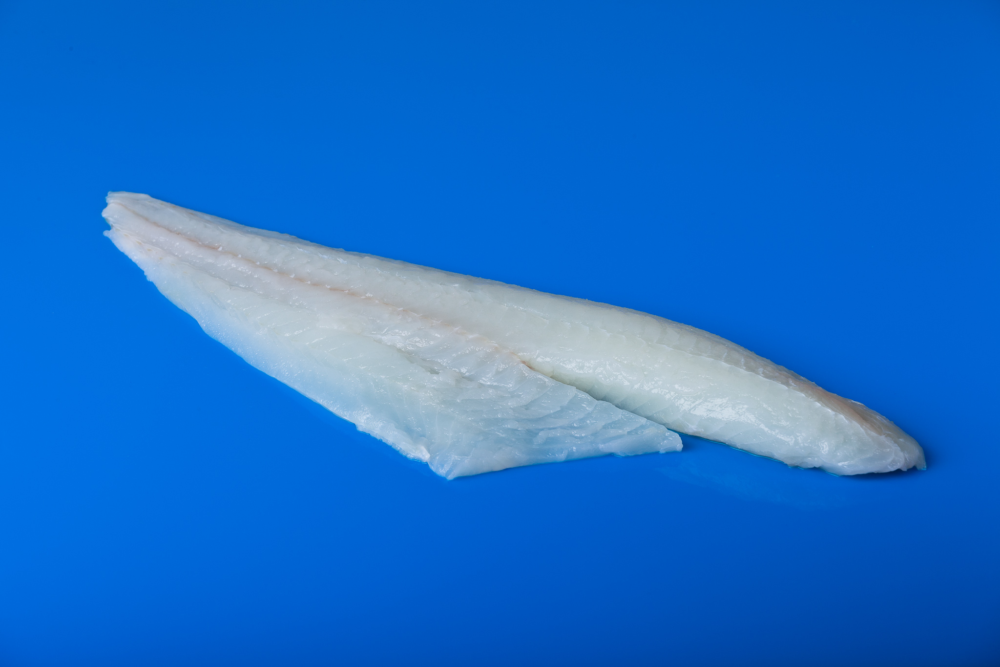 Ýsa – Fiskkaup – Íslenskur gæðafiskur